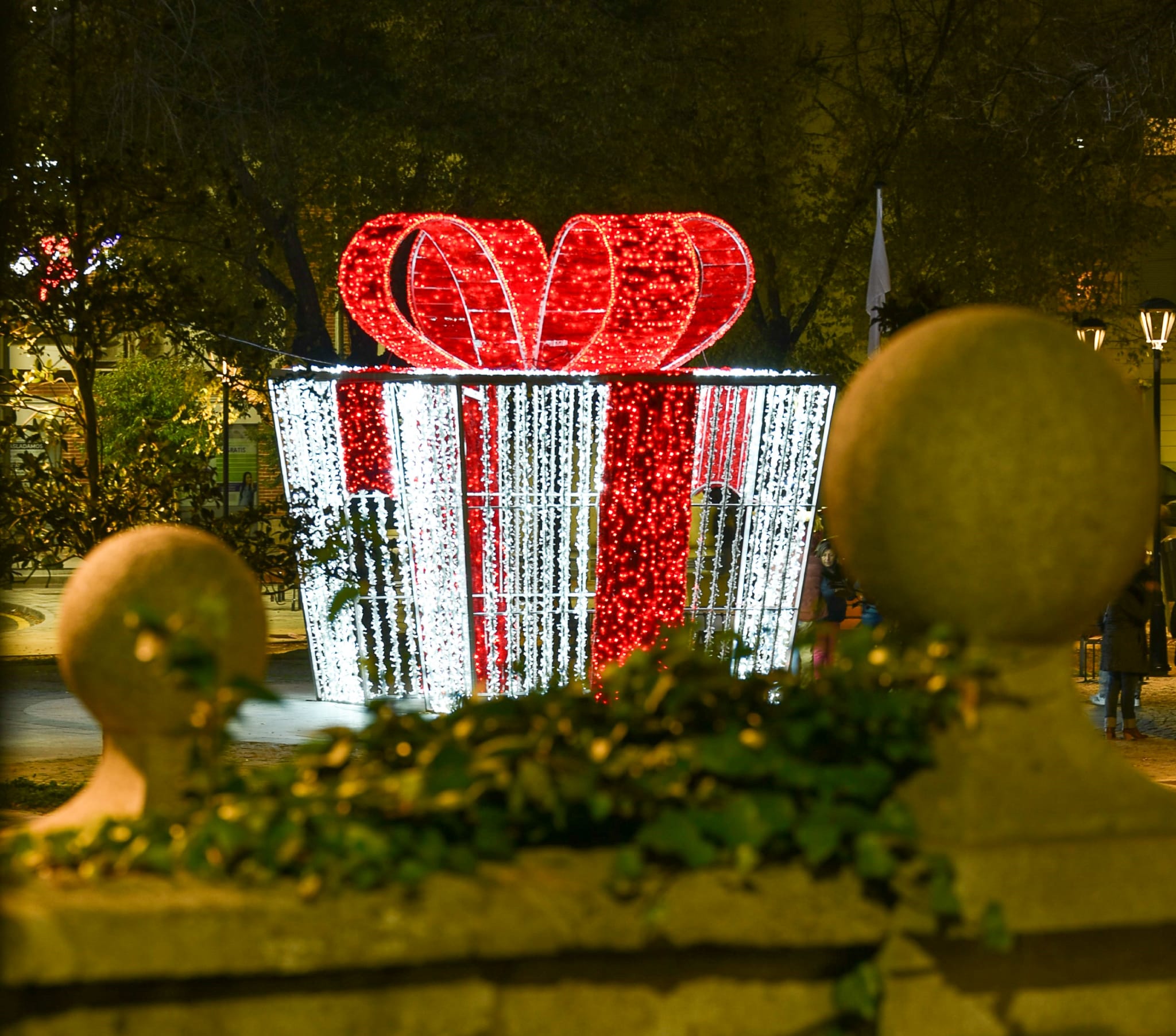 Navidad_Pinto2023_14 - epinto